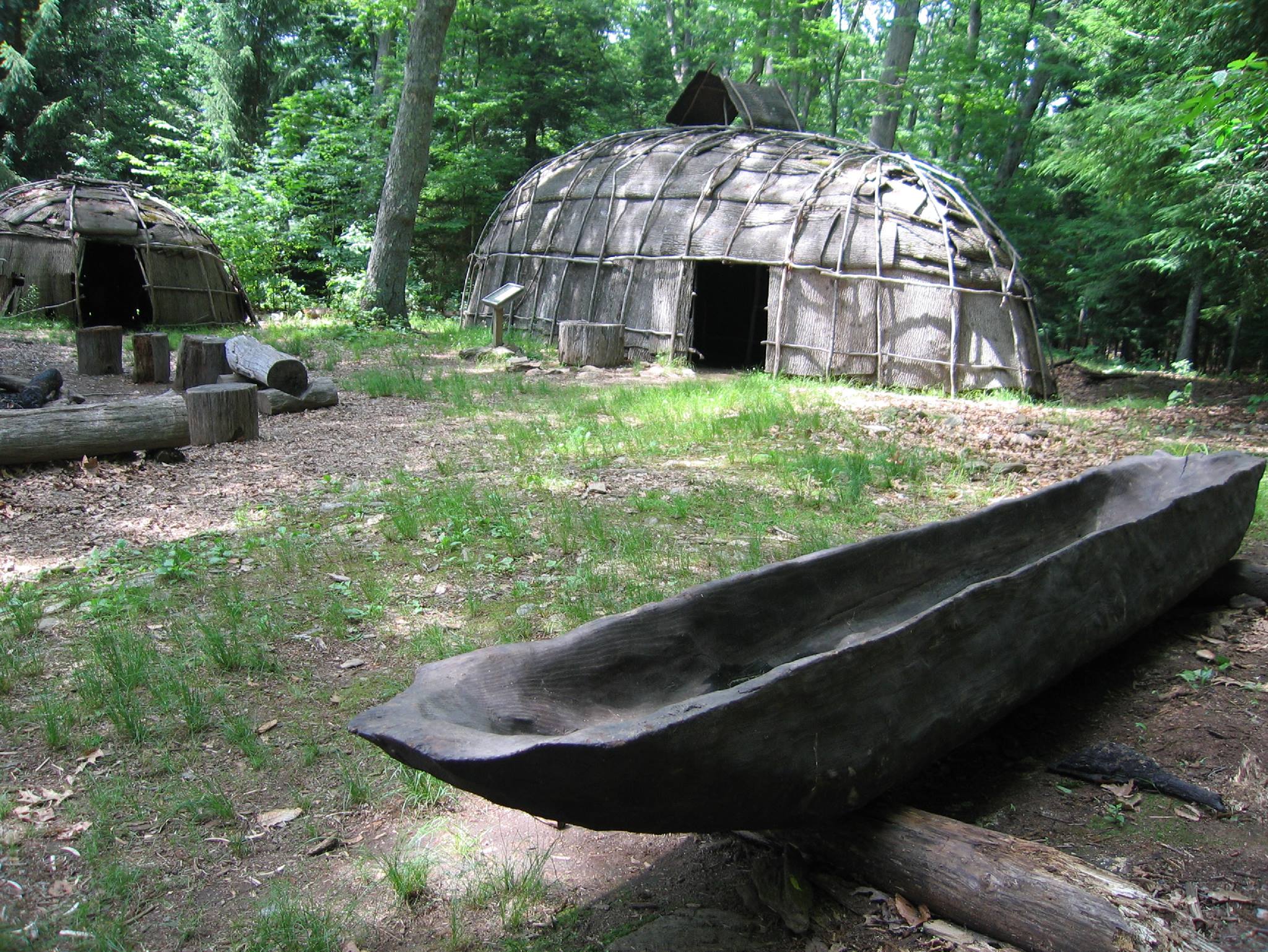 Ragweed – How Native Americans uses this pesky plant! – Connecticut Travel