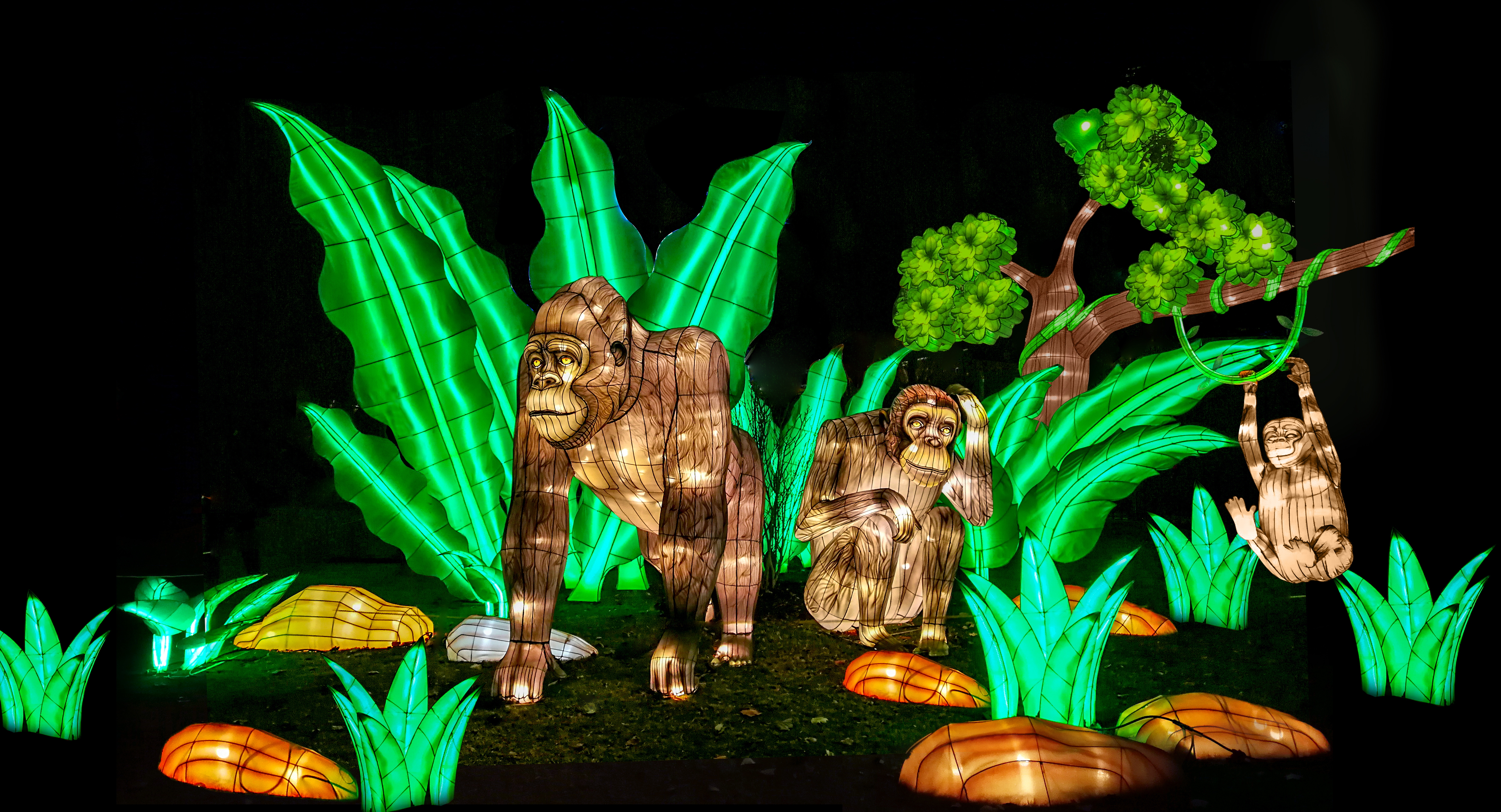 Glow Wild Lantern Festival @ Beardsley Zoo – Connecticut Travel