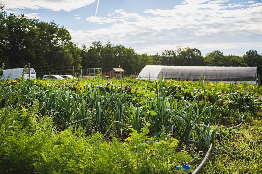 August Cooking Classes @ Husky Meadows Farm – Connecticut Travel