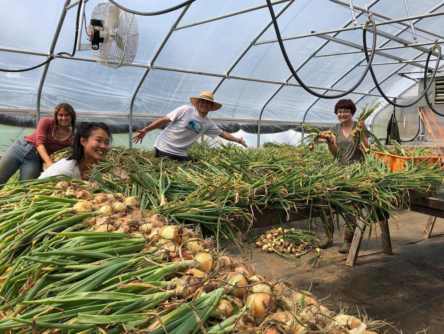 Enjoy the Harvest Celebration and Fall Foliage @ Husky Meadows Farm ...