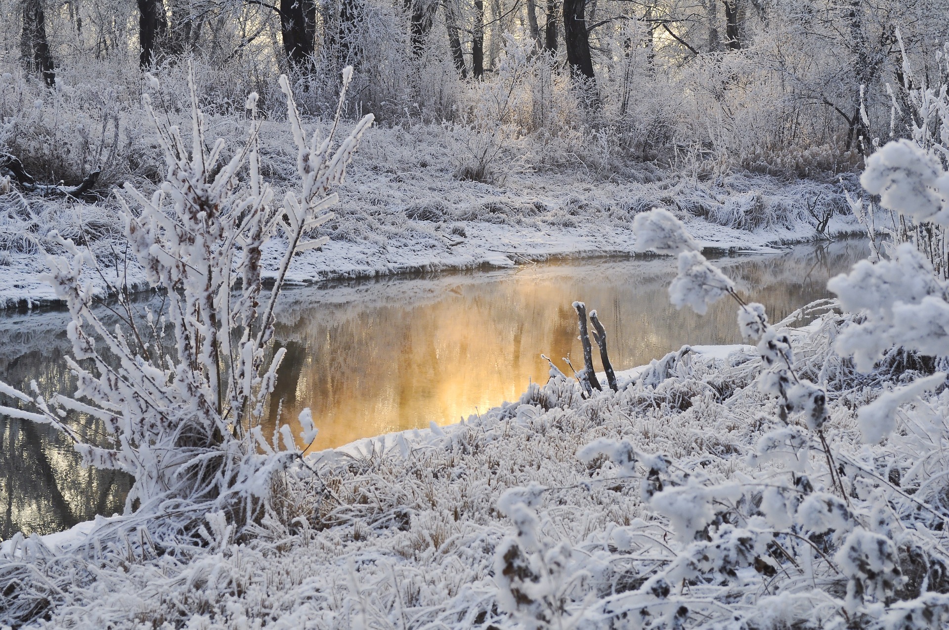 Celebrate the 9th Annual Winter Weekend in Norfolk – February 21 & 22 ...